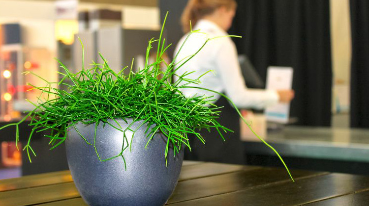 5 Ways to "Green" Your Small Business | Businessing Magazine