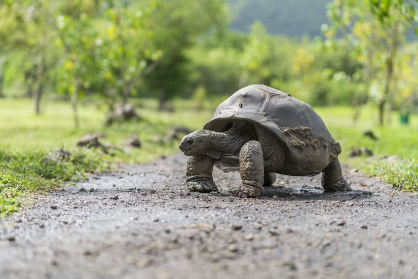 Slow Tech Could Waste 24 Days of Worktime a Year