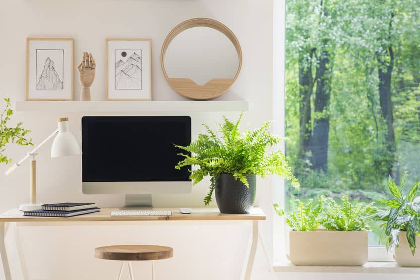 8 Office Updates That Drive Performance and Satisfaction